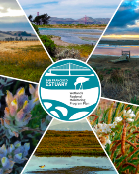 Joint Platform Information – Bay Adapt