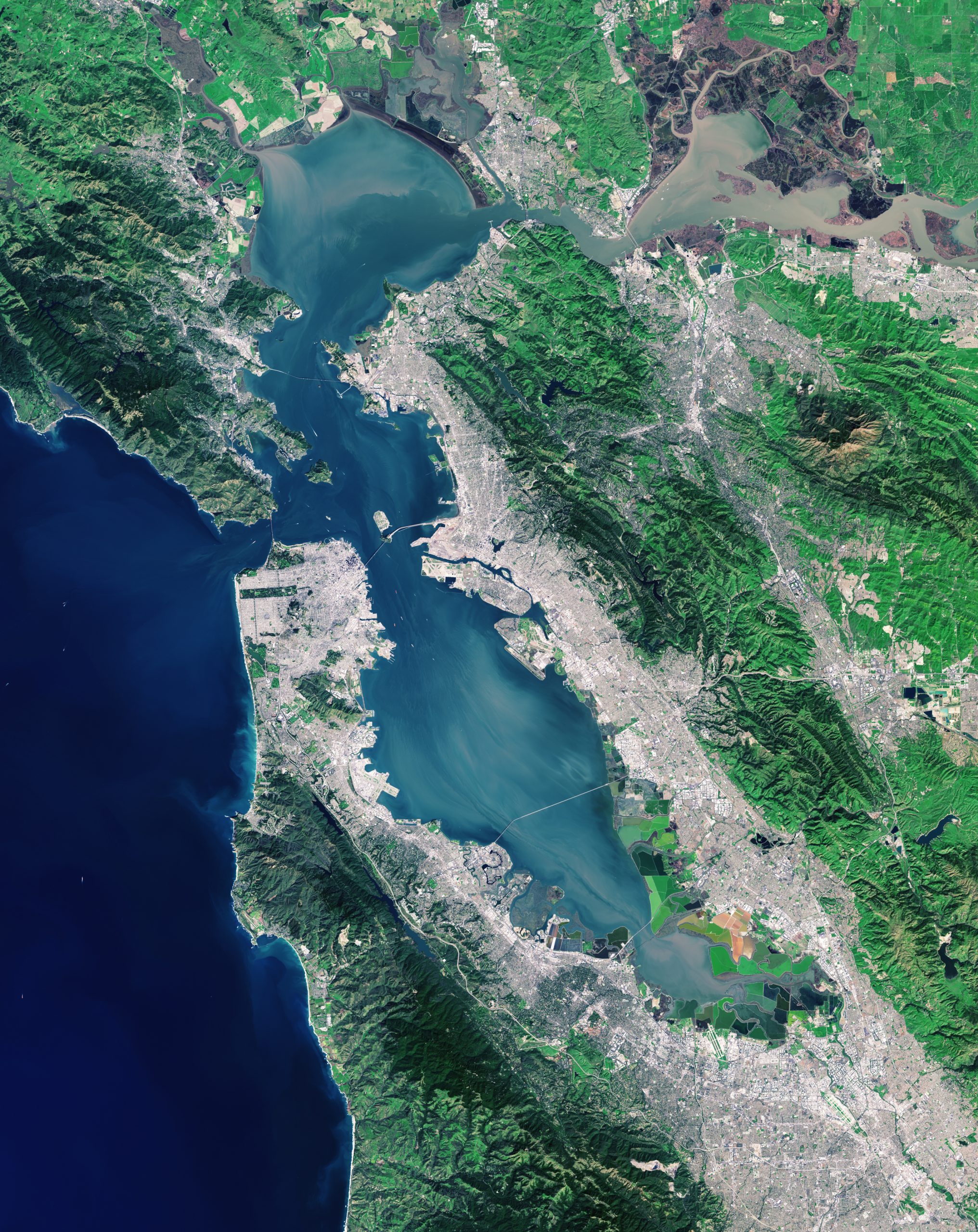 Bay Adapt – Regional Strategy for a Rising Bay